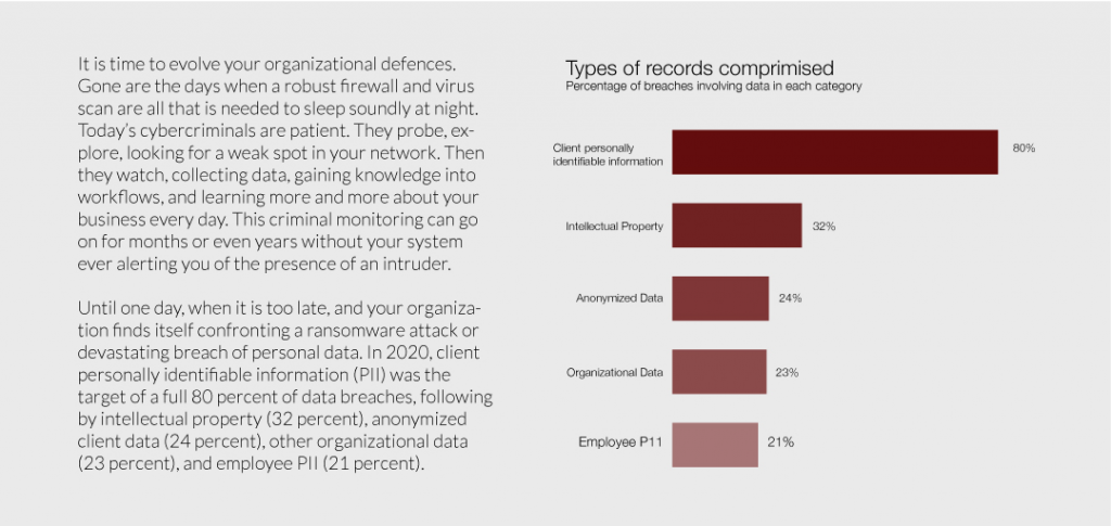 Managed IT Services Edmonton, AB | Solid Tech Solutions